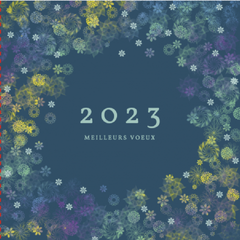 L’ALIRE vous souhaite la plus belle des années 2023 | ALIRE